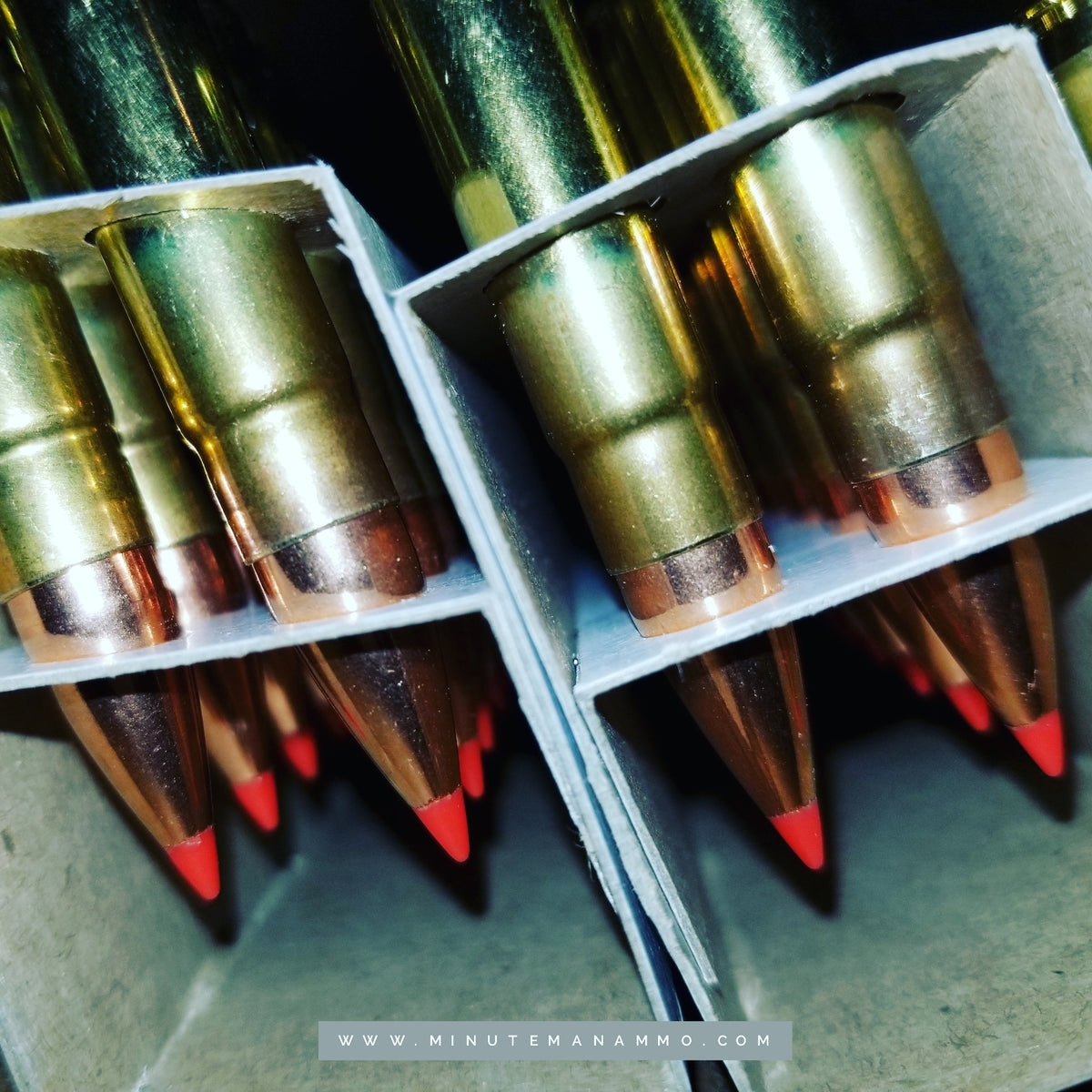 300 Blackout 110 grain Hornady V-MAX @ 2,300 fps. – Minuteman